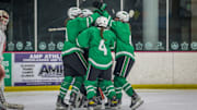 Minnesota High School Girls Hockey News, Scores, Rankings - Minnesota ...