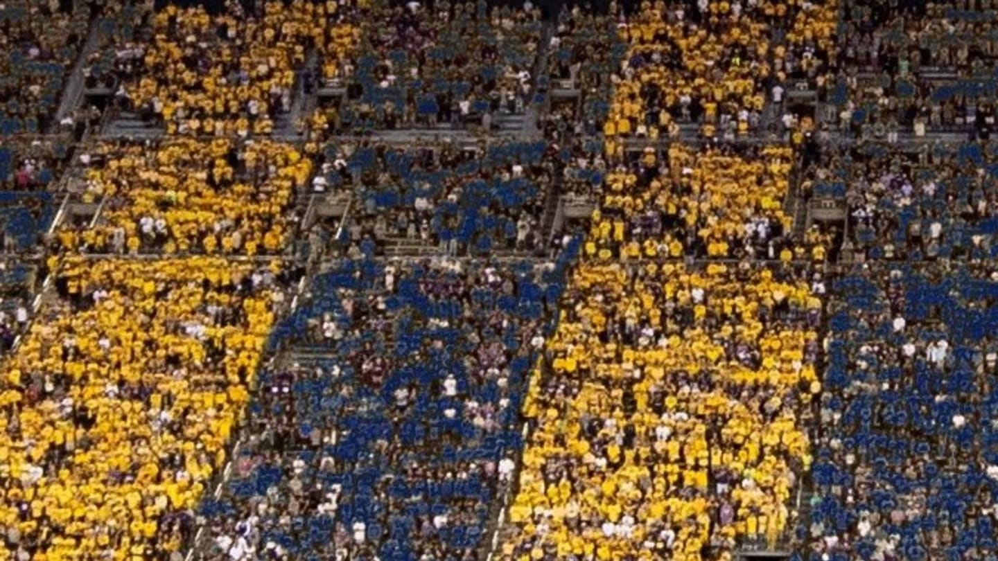 Michigan fans not confident Big House 'stripe-out' will work