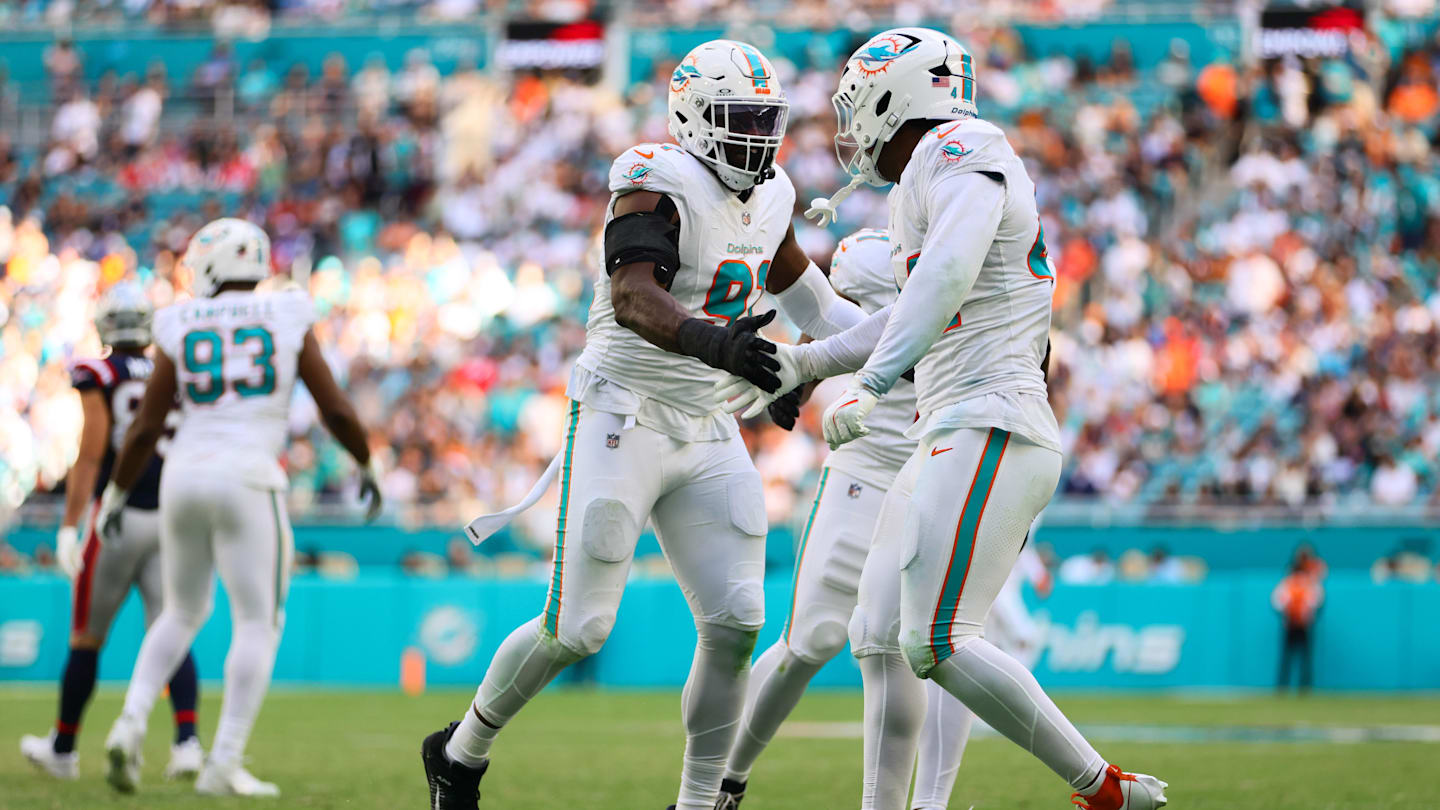 Miami Dolphins 2024 Week 12 Snap Count Observations