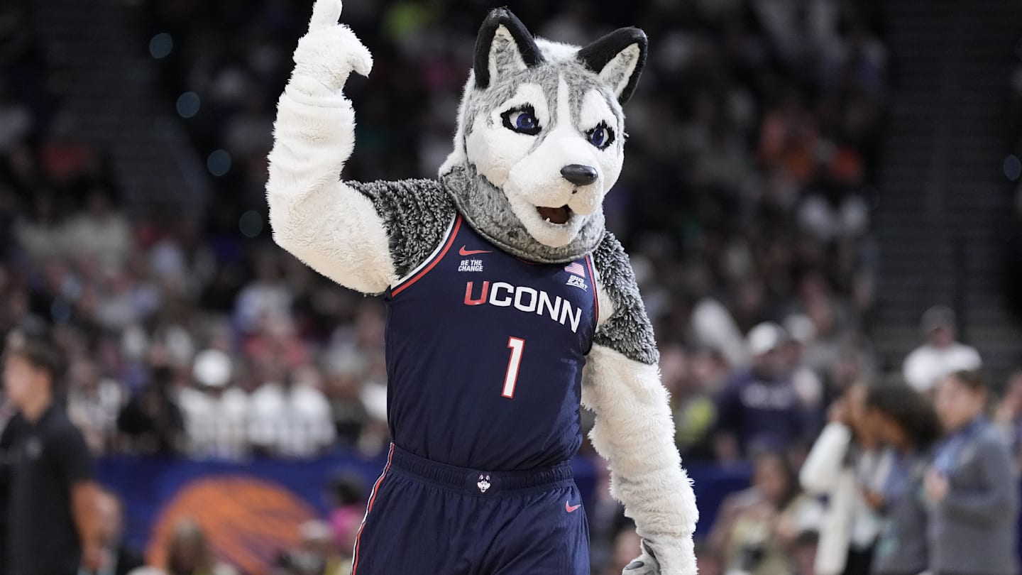 uconn huskies