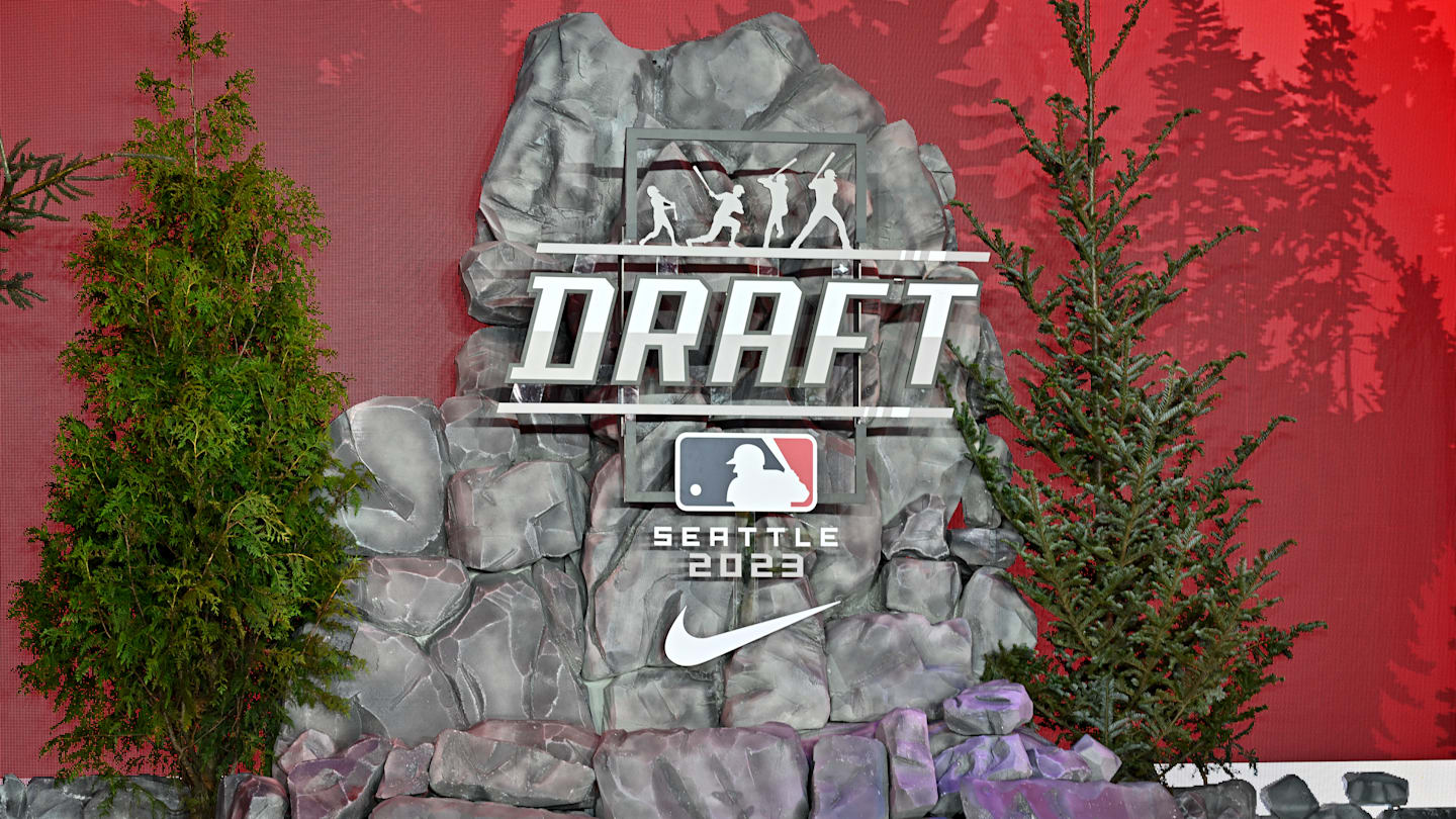 What did the Chicago Cubs get from their picks in Rounds 6-10 of the ...