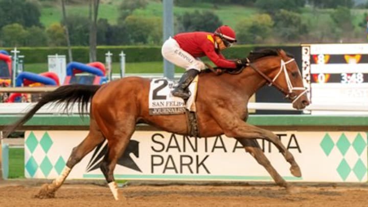 2025 Kentucky Derby: Is There A Longshot That Can Beat Journalism?