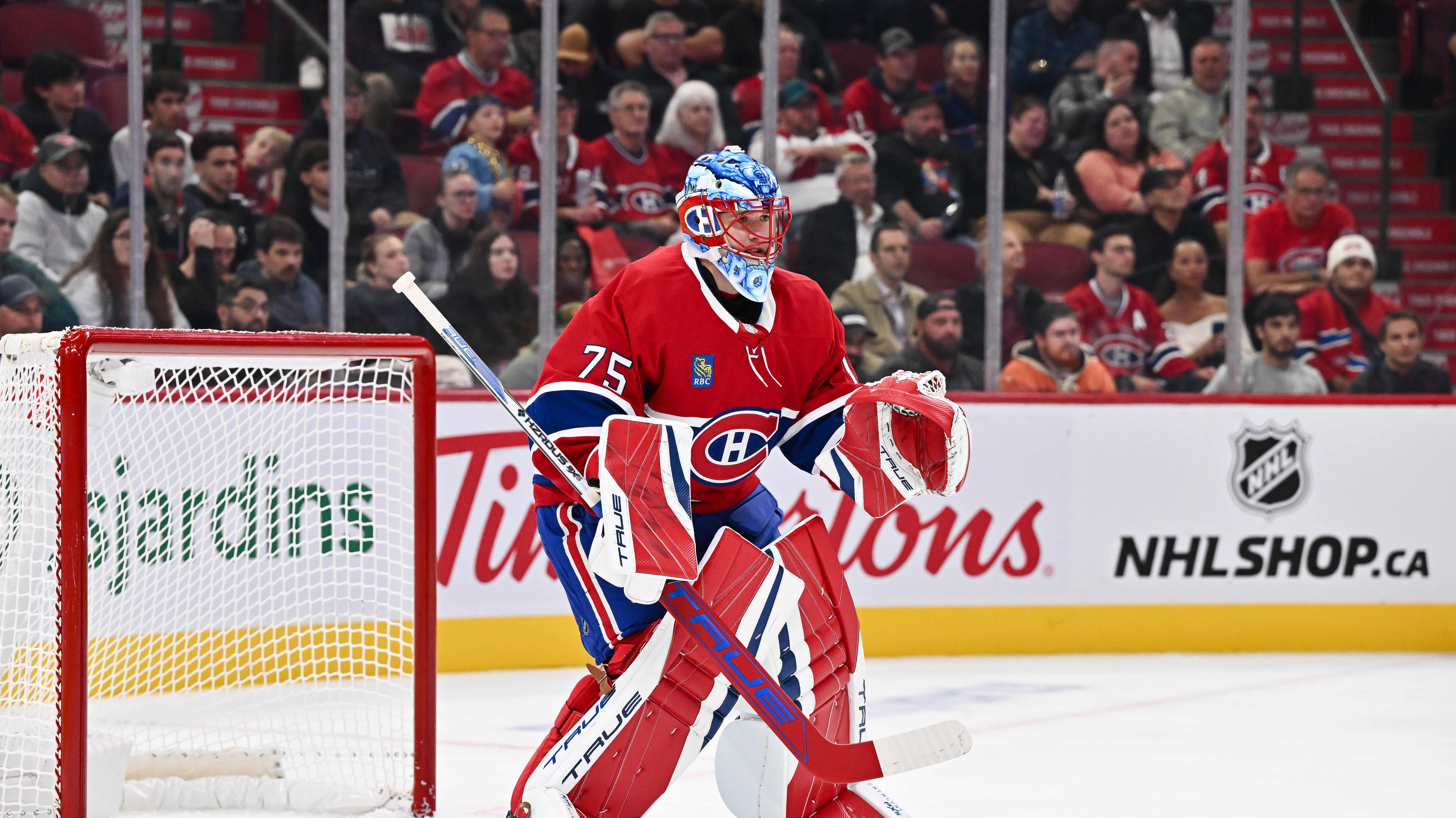 Jakub Dobes to start against the Florida Panthers