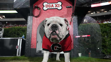 Georgia Bulldogs On SI - Sports Illustrated