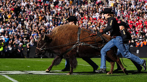 Colorado Buffaloes Announce Major Ralphie News Ahead of Wyoming Cowboys ...
