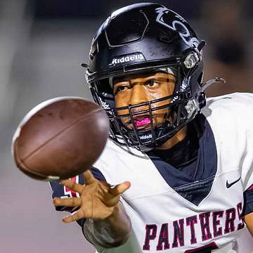 Daniel High School Football Coach Placed on Leave After Violent Camp ...