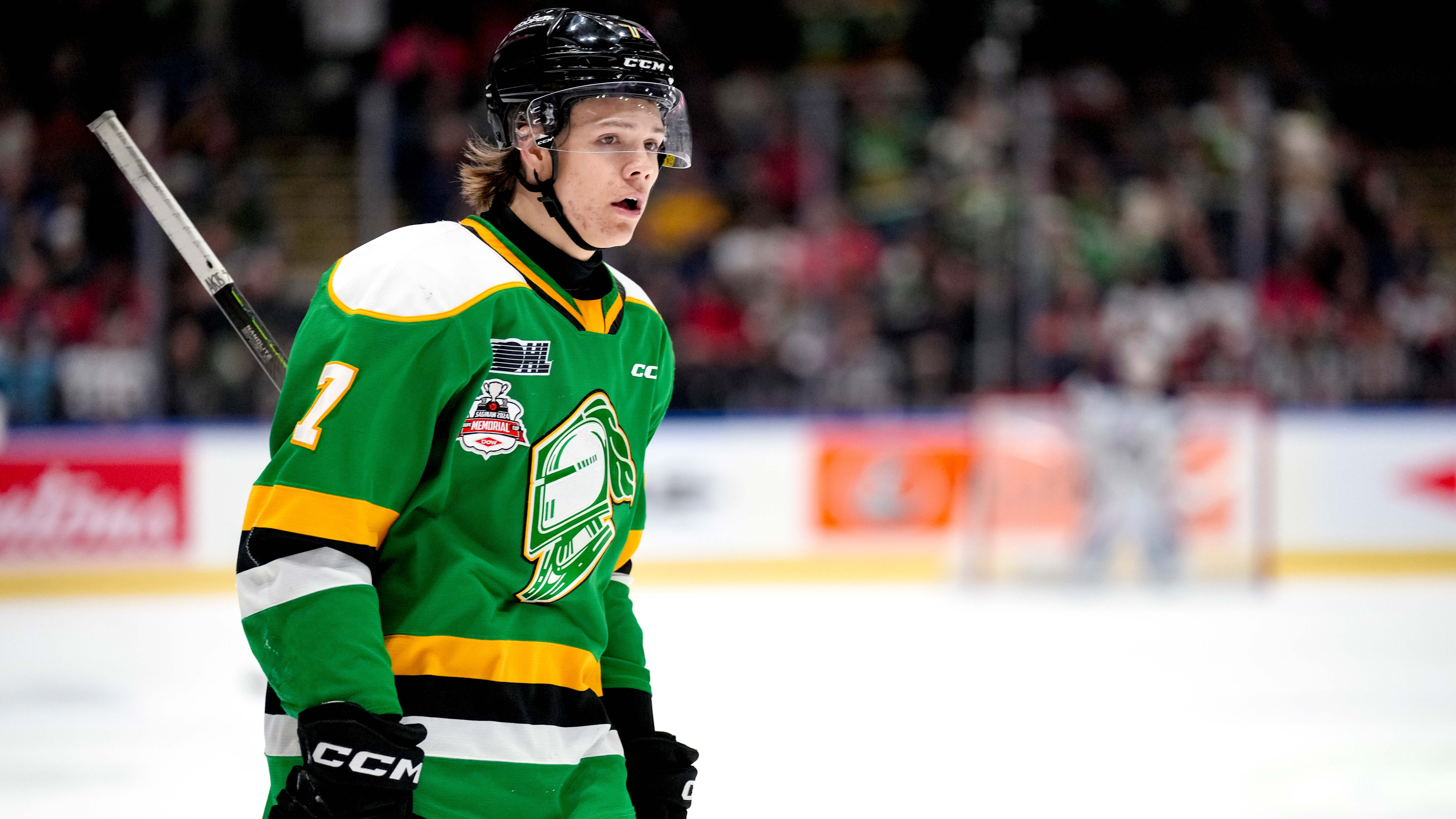 Toronto Maple Leafs October Prospect Report