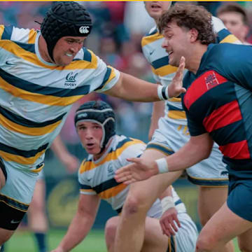Cal Rugby: Bears Easily Advance in National Championship Playoffs