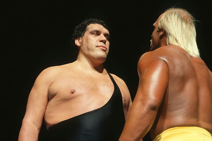 arnold andre the giant