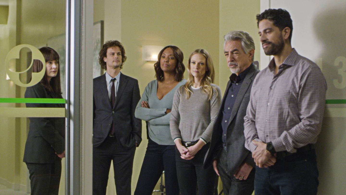 Criminal Minds cast ages: How old were the actors when they first ...