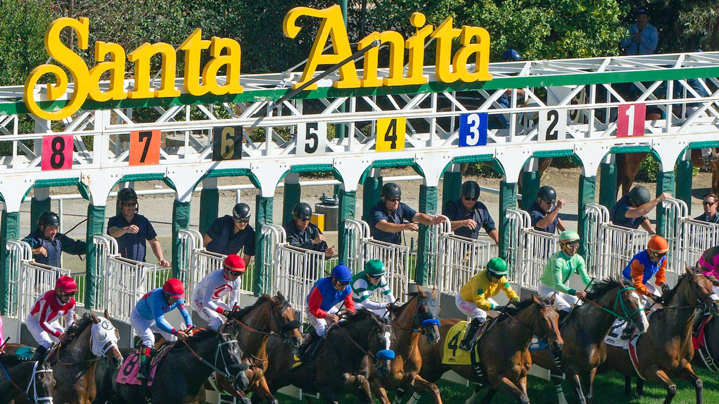Daily Racing Form's Horse Racing Playbook for Sunday, October 26, 2025