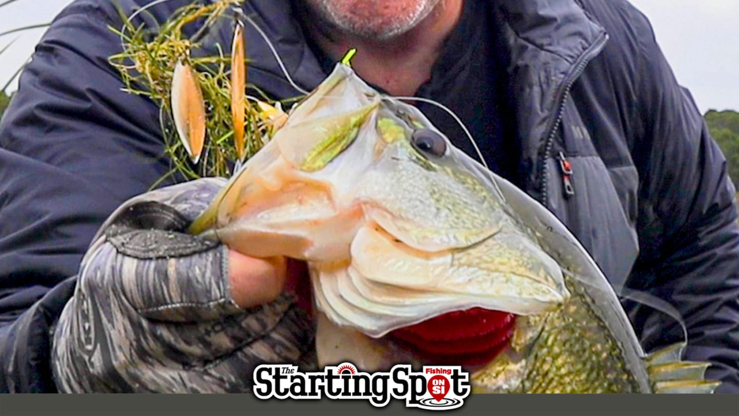 The Starting Spot: 2025 Bass Jig Buyer’s Guide, Top Lures on Okeechobee ...