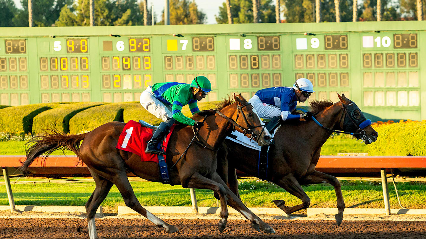 Daily Racing Form Spotlight for Saturday December 12th: Grade 2 Los ...