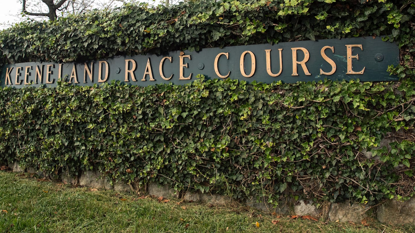 Saturday's October 17th Race of the Day: Grade 2 Raven Run Stakes at ...