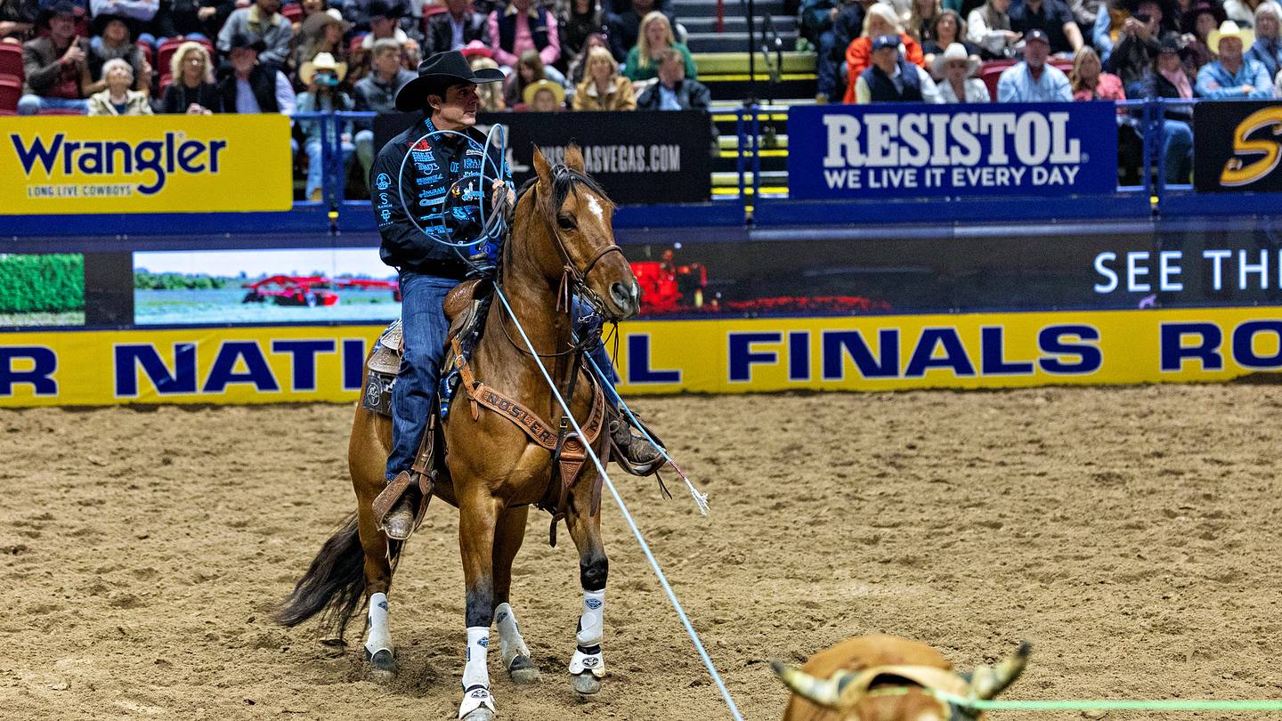 Bloodlines and Big Stops: The Pedigrees of the 2024 NFR Team Roping ...