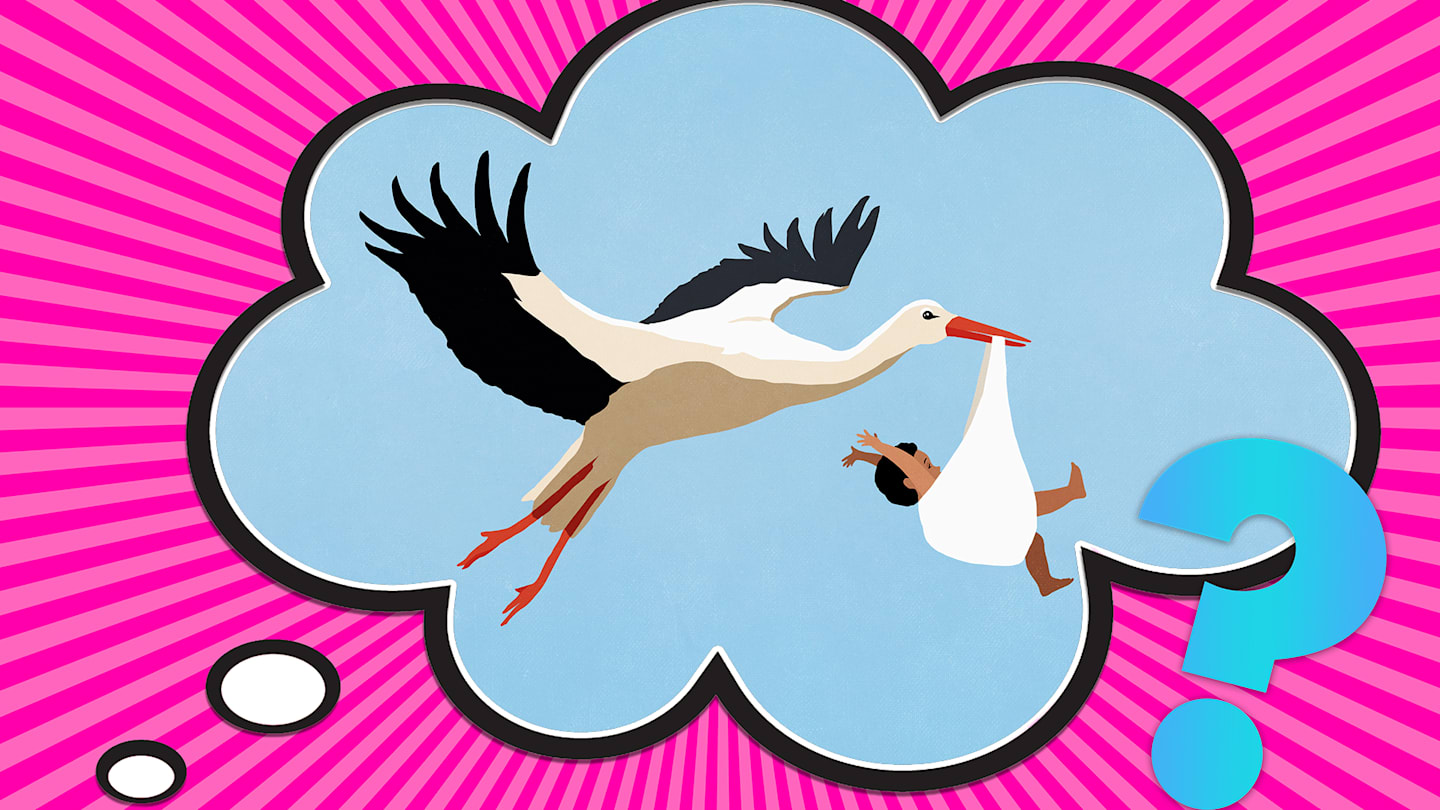 Why Do We Say Storks Deliver Babies?