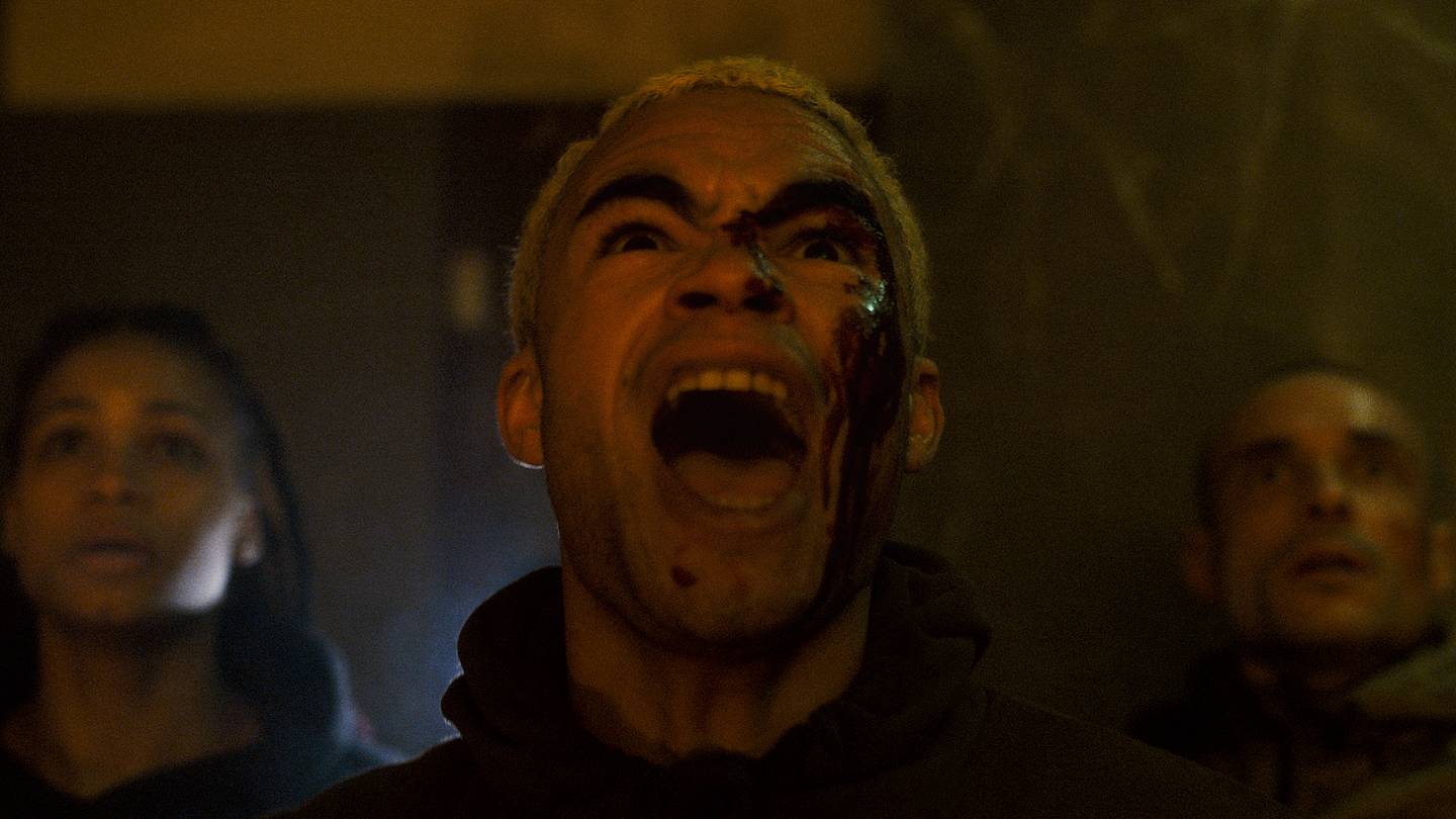 Review: Shudder's Infested introduces us to eight-legged EEKS!