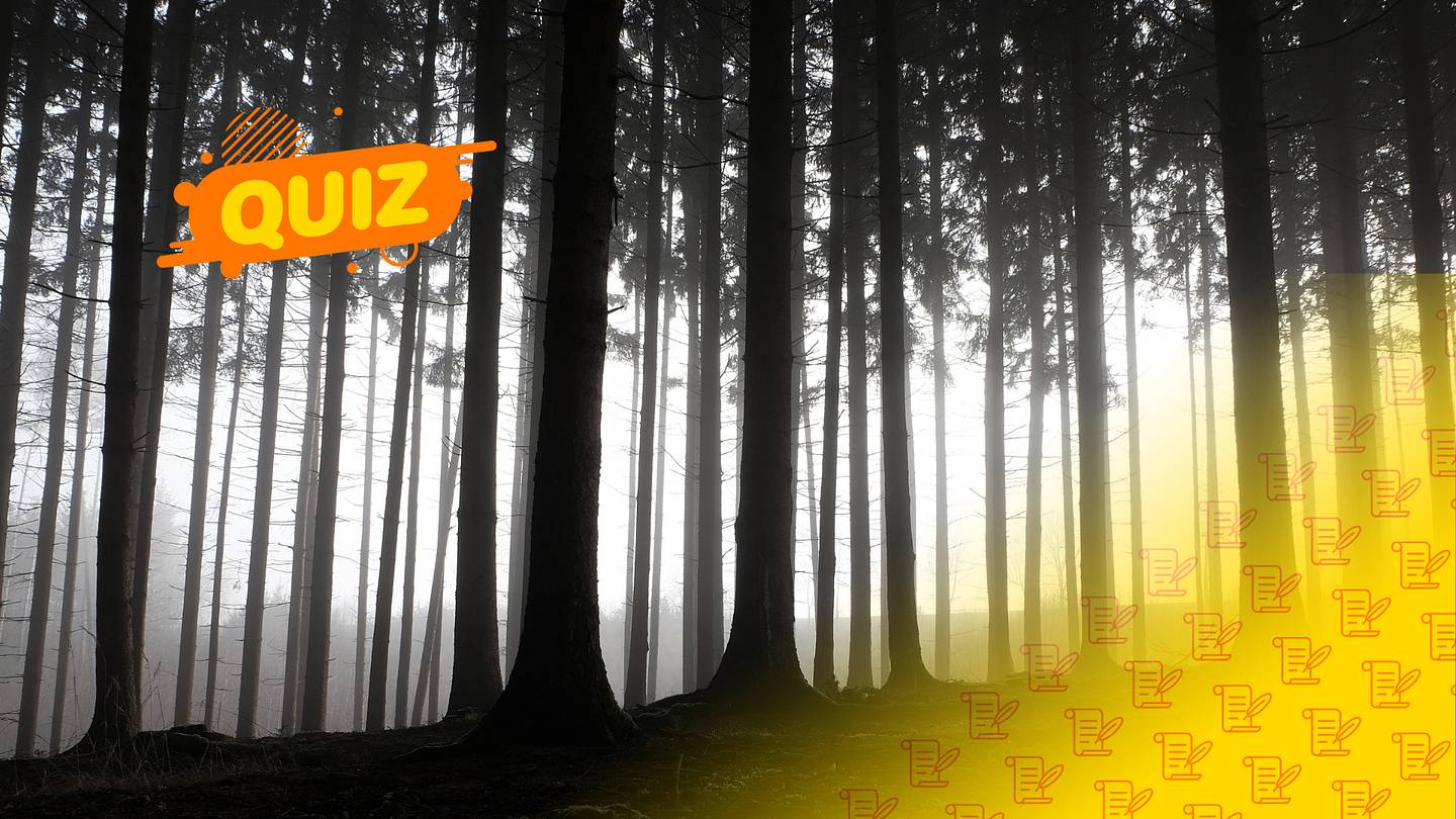 Can You Guess Which of These Urban Legends Are Based on True Events?