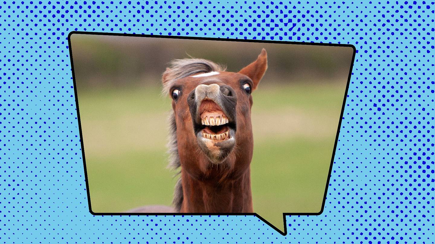 The Origins of 12 Horse-Related Idioms