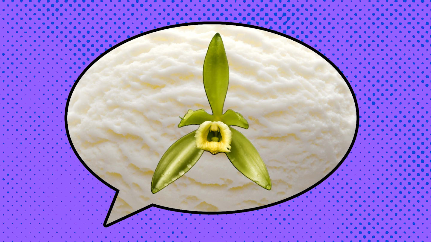 How the Word ‘Vanilla’ Came to Mean ‘Boring’