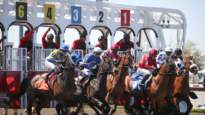 DRF's Horse Racing Playbook for Thursday, August 21, 2025