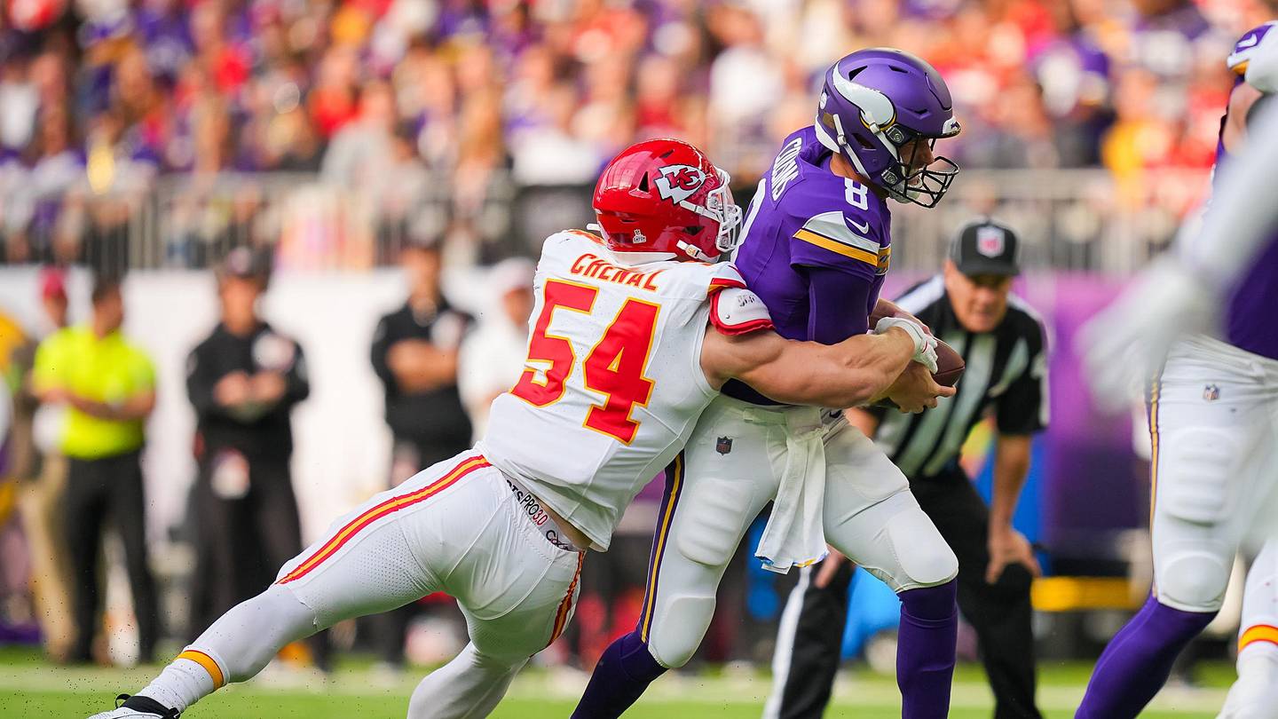 Vikings crowd shows clearly fans have given up hope for this team