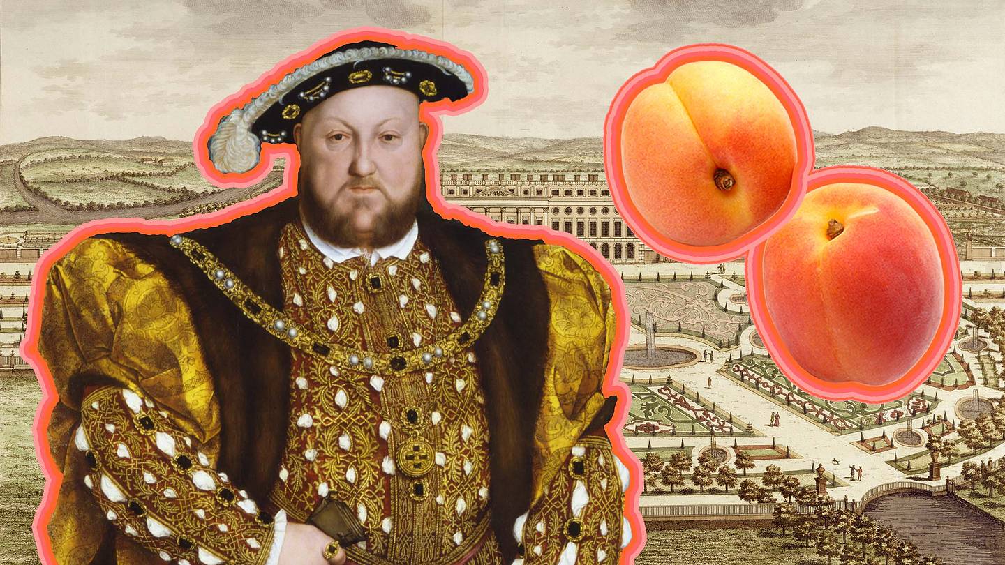 The Eclectic Favorite Foods of 6 British Royals