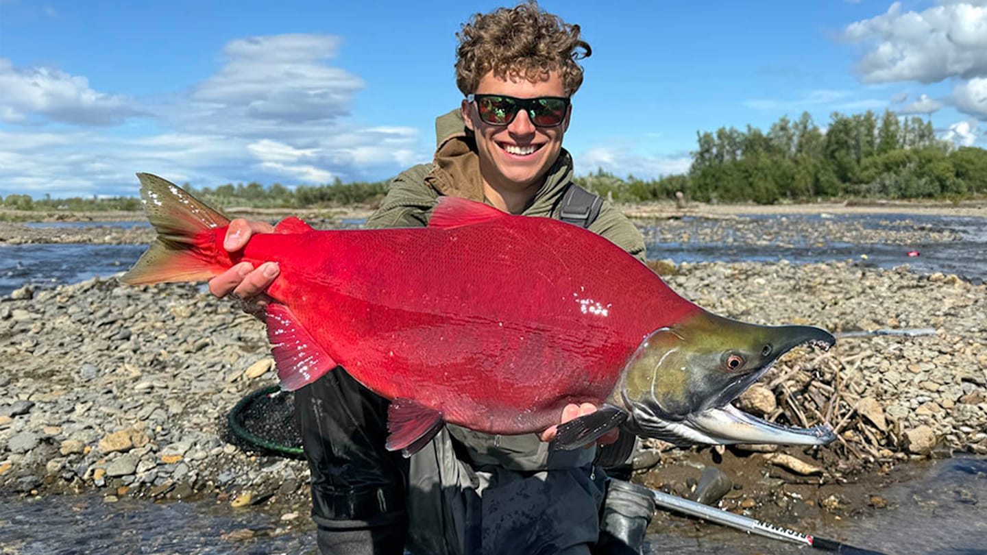 largest spring salmon ever caught