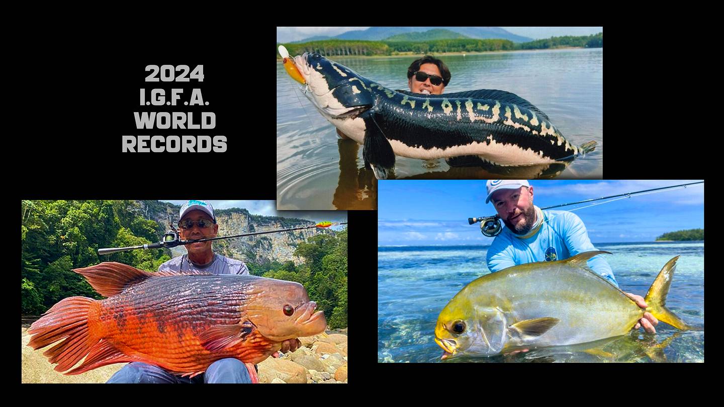 Top 3 Wildest-Looking World Record Fish of 2024: Actual IGFA Certified ...