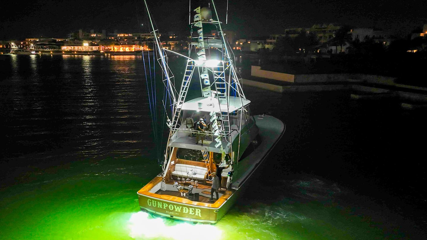 'Gunpowder' Sets New Blue Marlin Release Record Fishing Out of Marina ...
