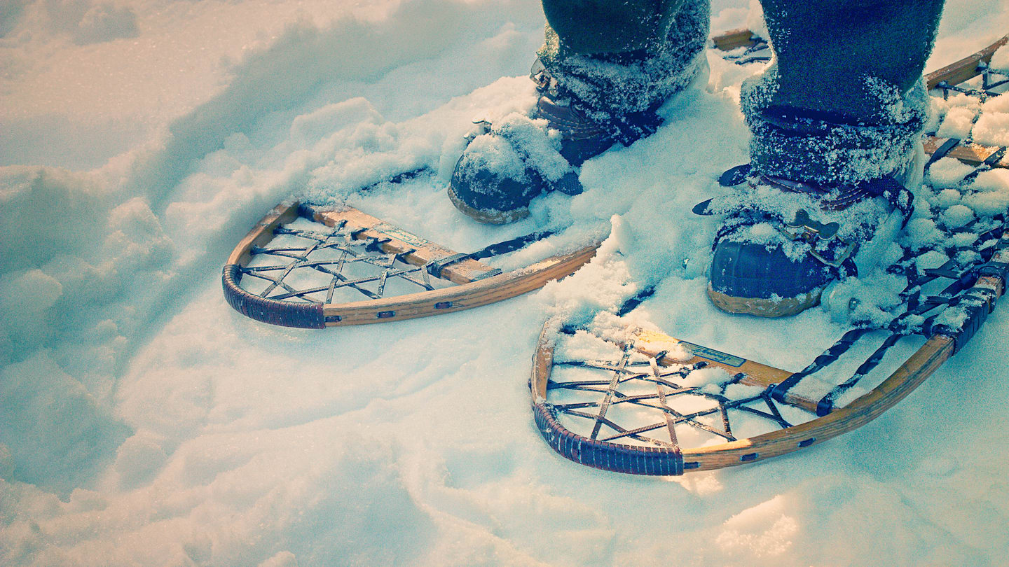 How Do Snowshoes Work?