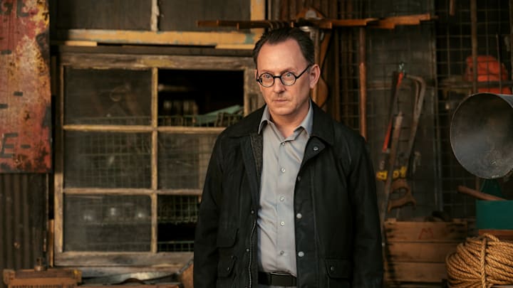 michael rapaport fallout