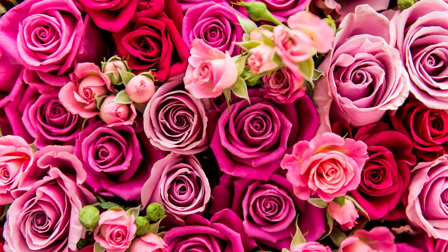 Love stories for National First Love Day
