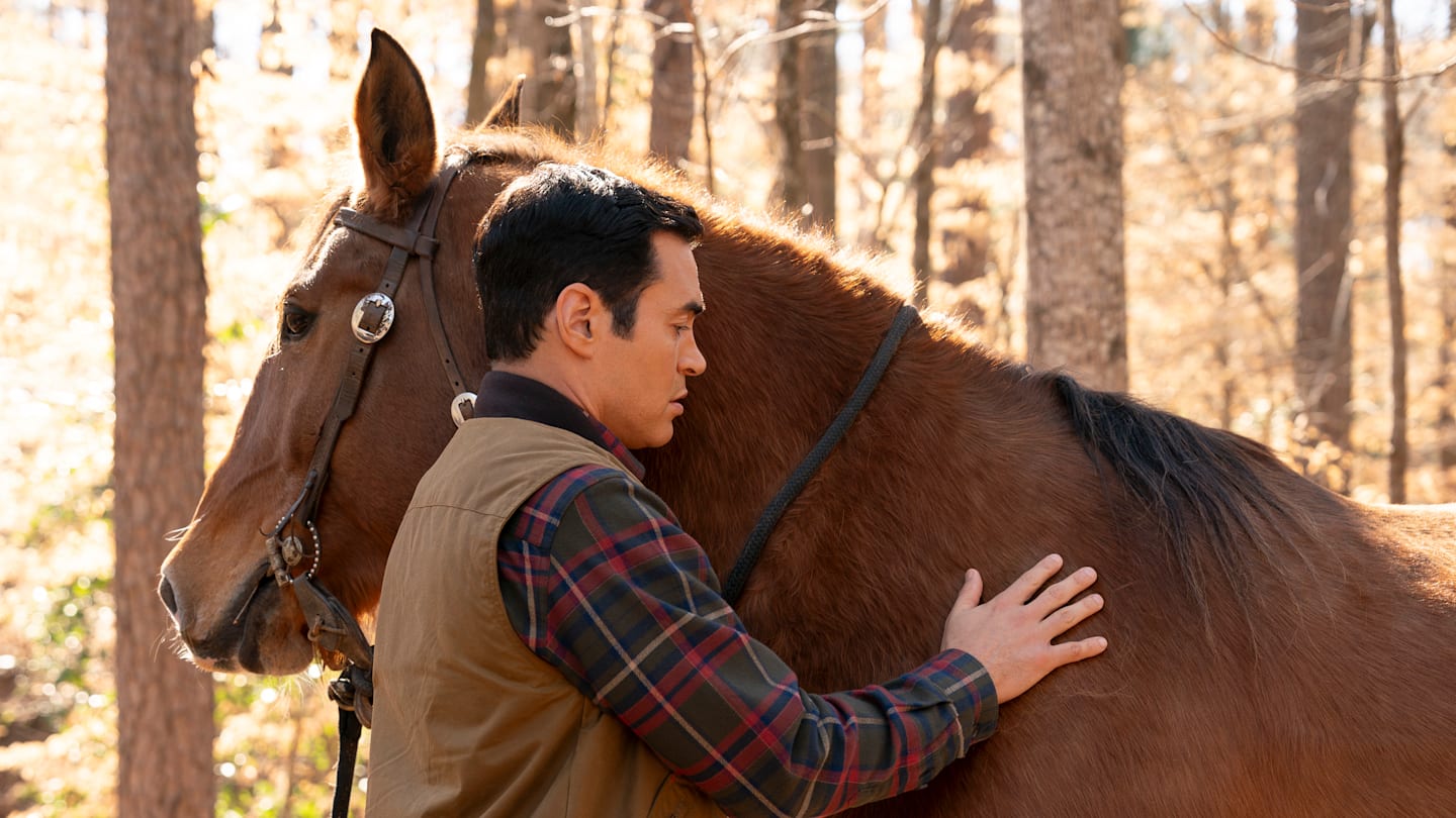 How did Will Trent bonding with a horse help his feelings after an ...