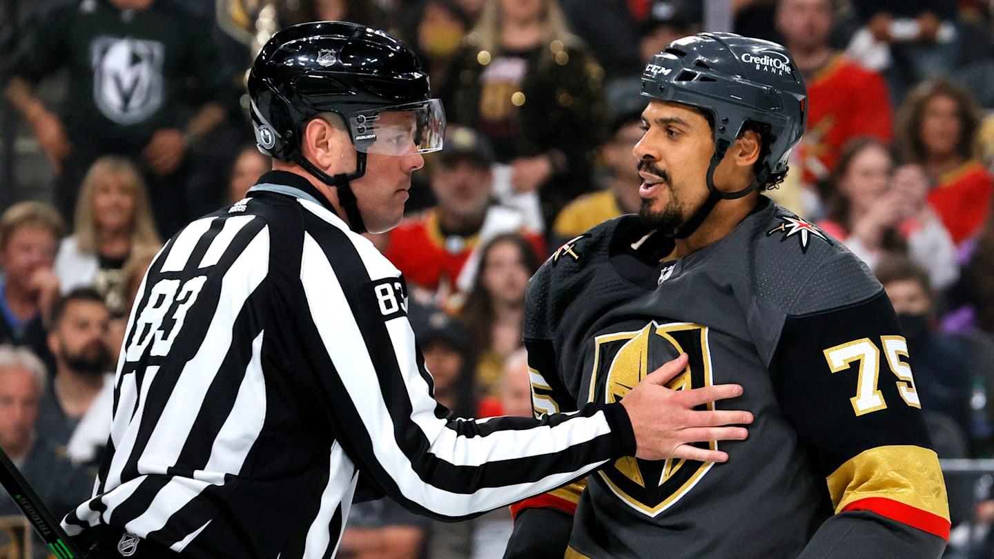 Remembering a Former Golden Knight: Ryan Reaves