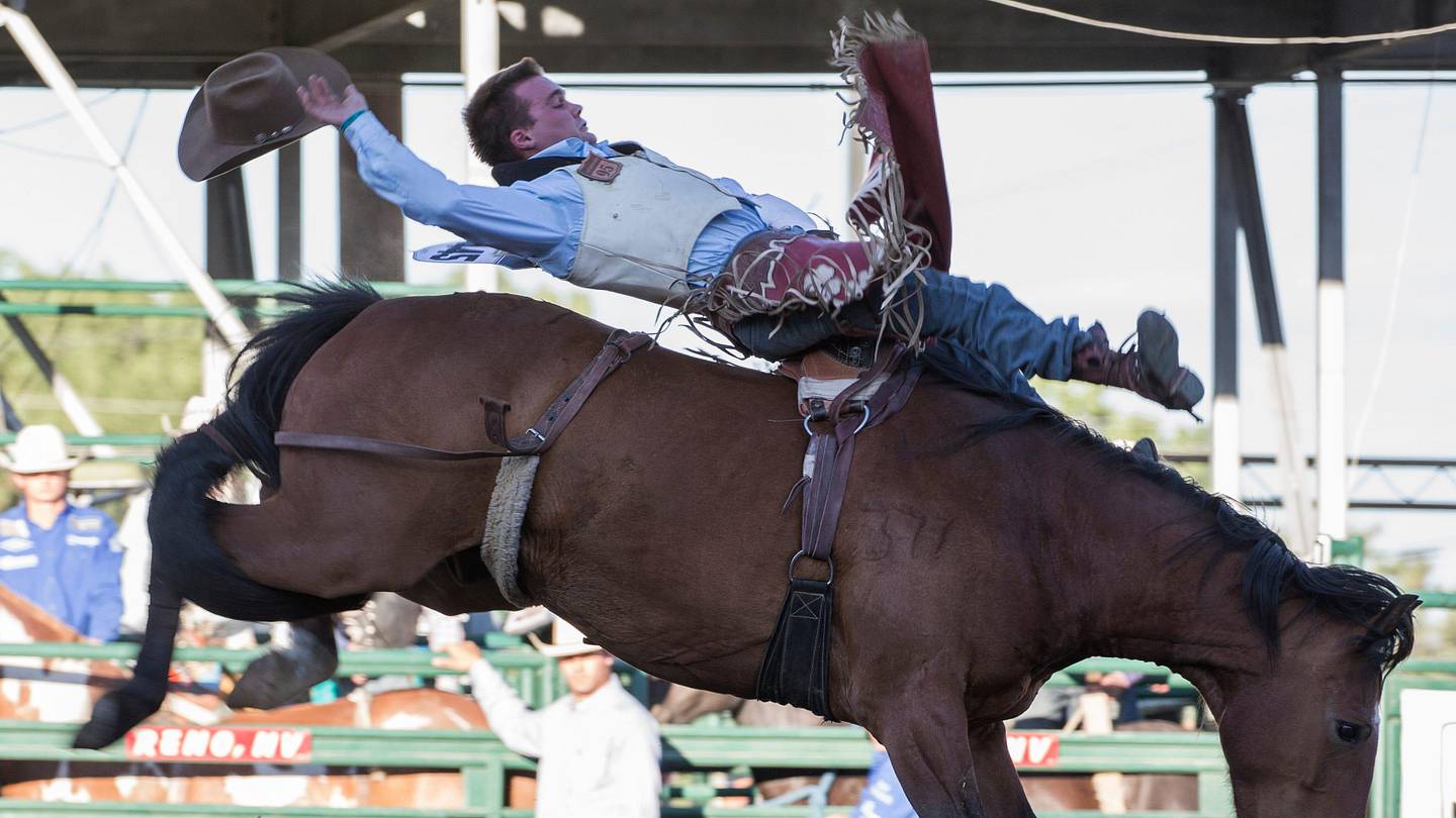 Badlands Circuit Finals Spotlight Athletes Who Could Shake Up Pro Rodeo