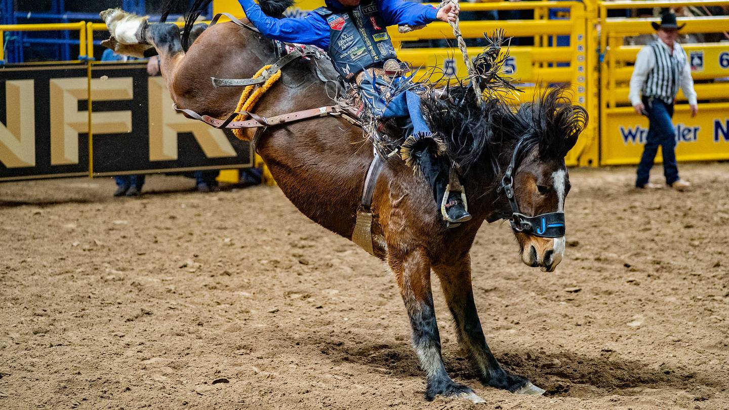 Saddle Bronc Riding World Standings Proves Battle of Brothers