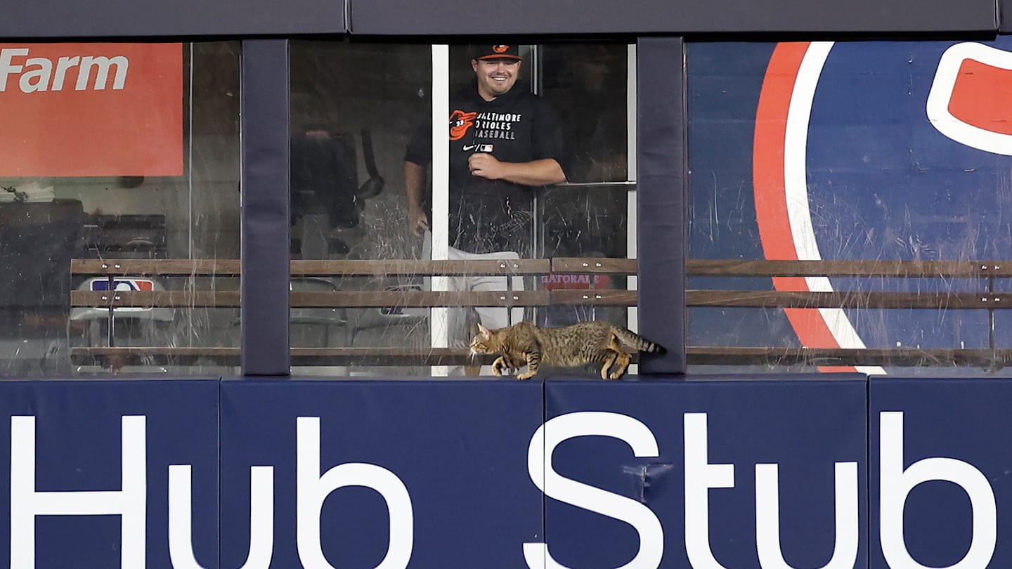 Longest losing streaks in MLB history