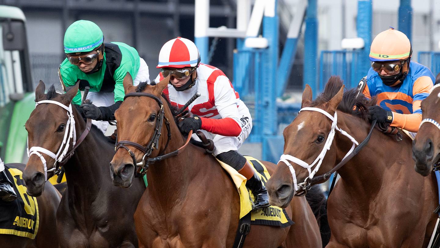 DRF's Horse Racing Playbook for Saturday, February 14, 2026
