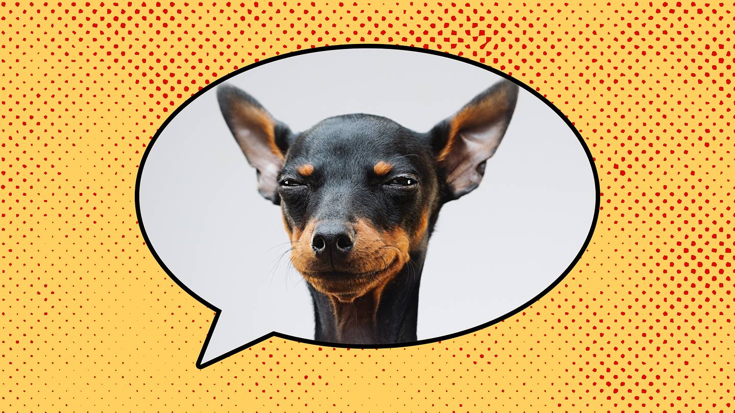 Where Does the Term ‘Double Dog Dare’ Come From?