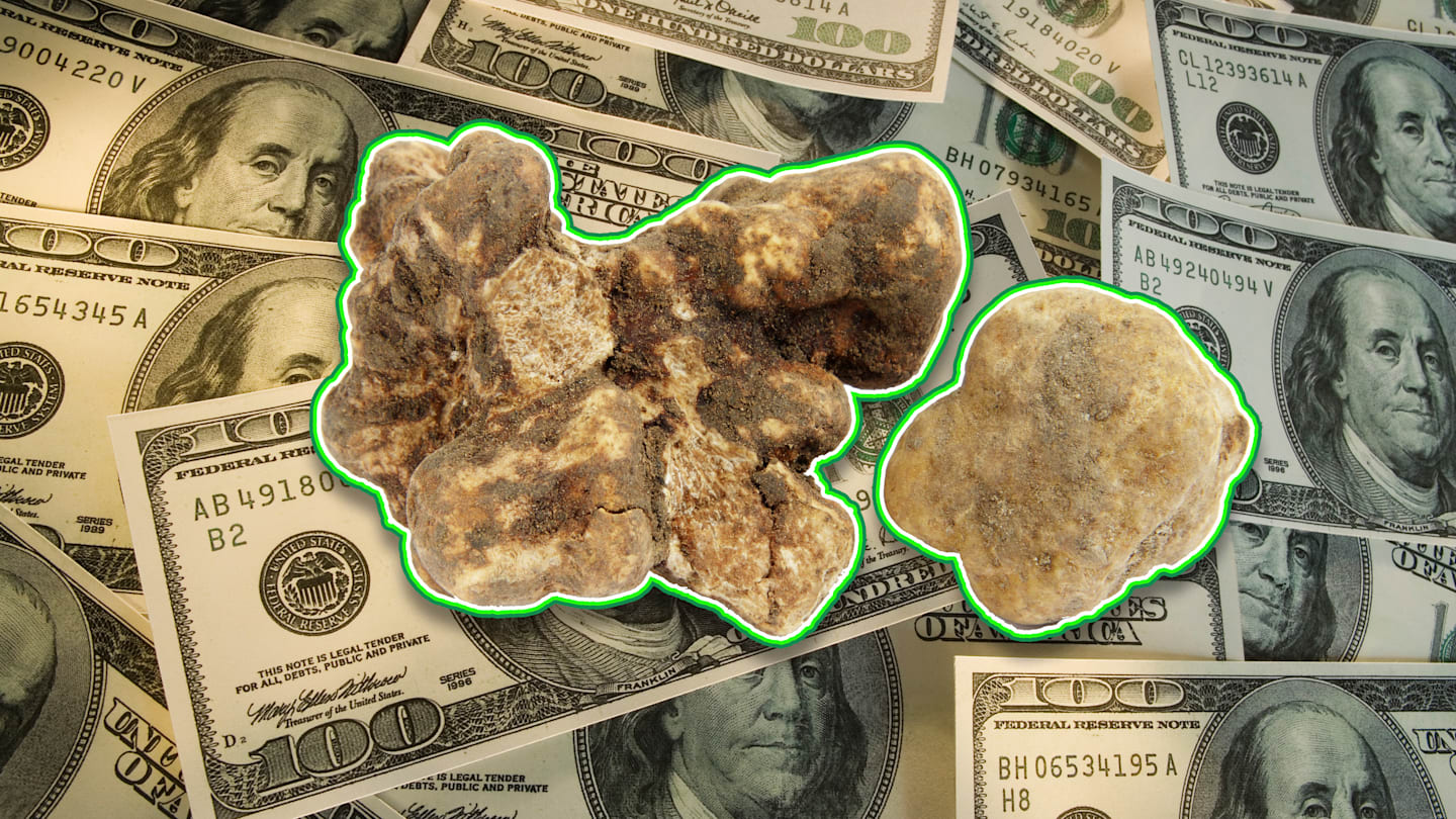Why Are Truffles So Expensive?
