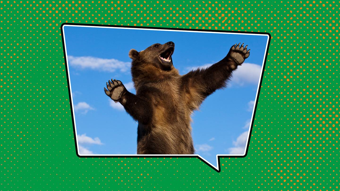 10 Delightfully Descriptive Irish Animal Names
