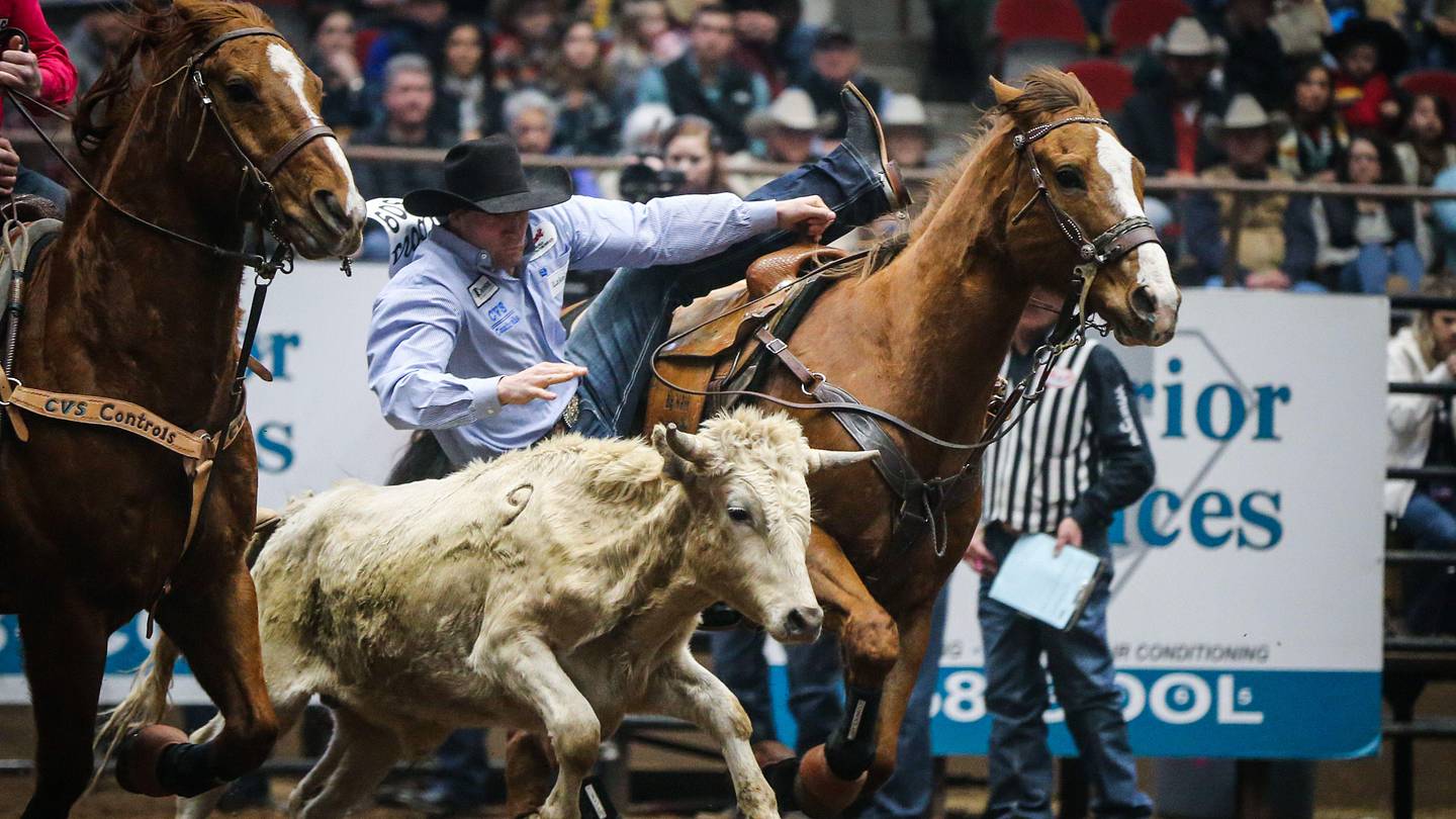 Scott Guenthner Leads Charge of Men’s Timed Events at Canadian Finals Rodeo