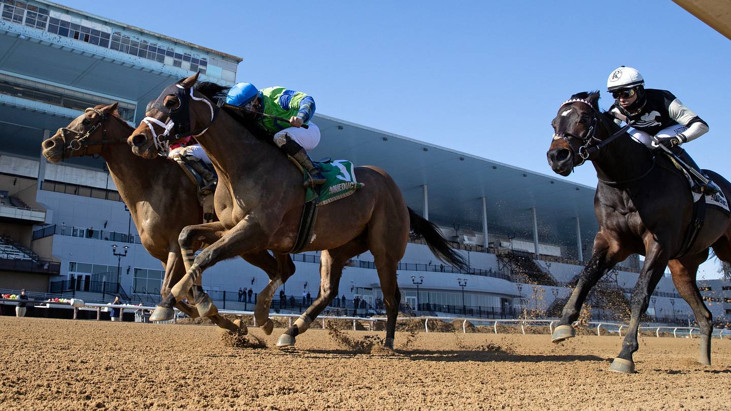 Horse Racing Playbook for Friday, March 6, 2026
