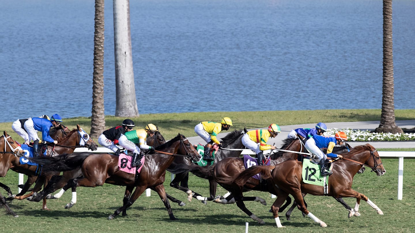 Daily Racing Form's Horse Racing Playbook for Sunday, September 7, 2025