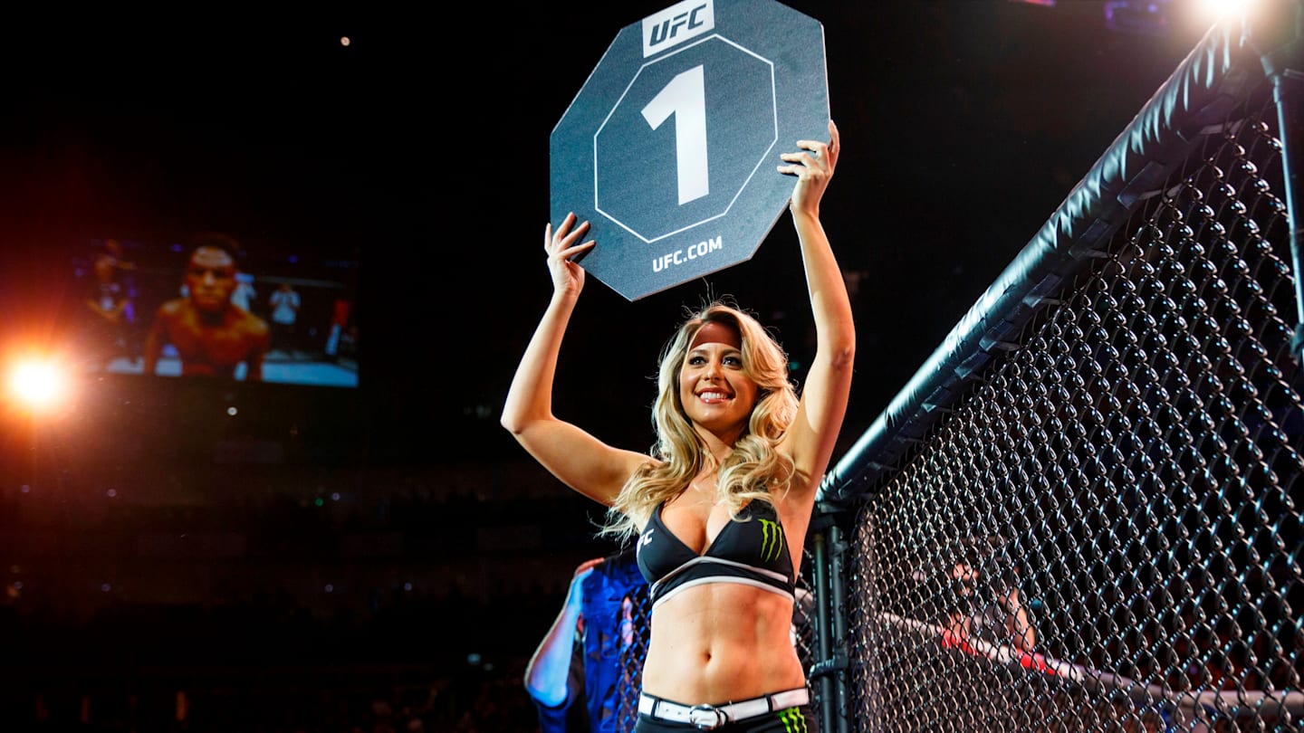 difference between mma and ufc