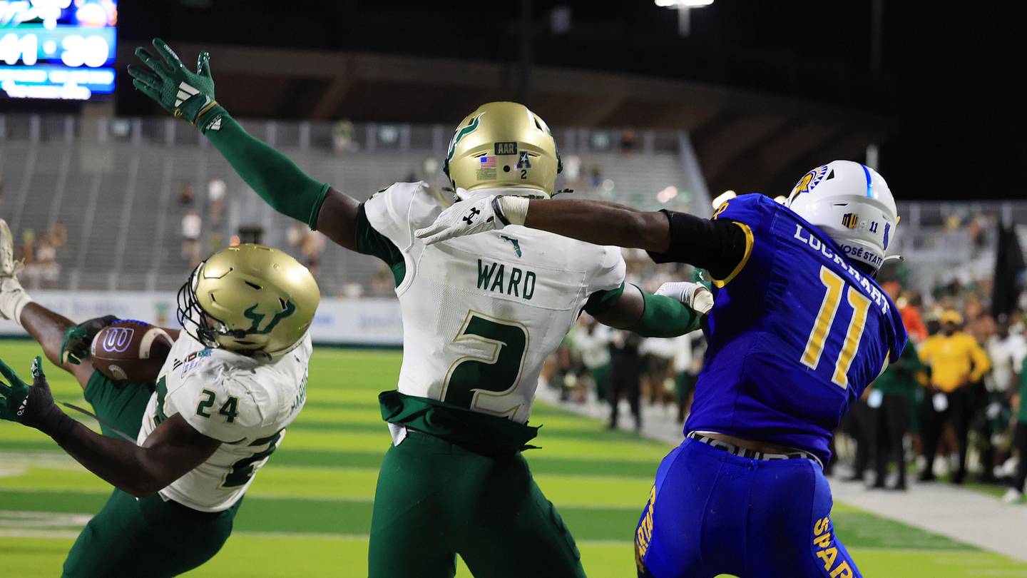 Bulls blitz the preseason: Fifteen USF football players charge onto All ...