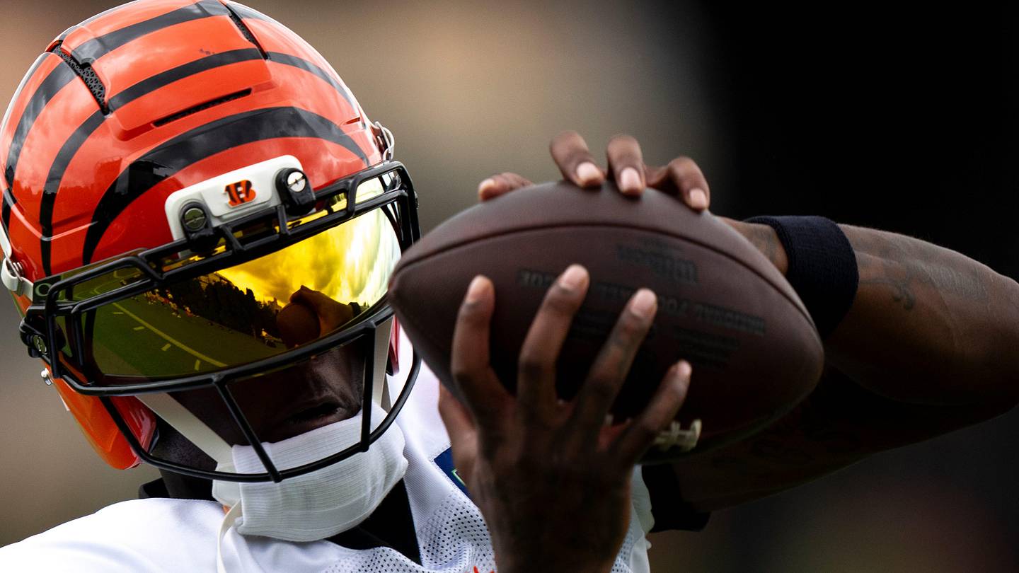 Bengals star Tee Higgins lands on insulting list that questions his value
