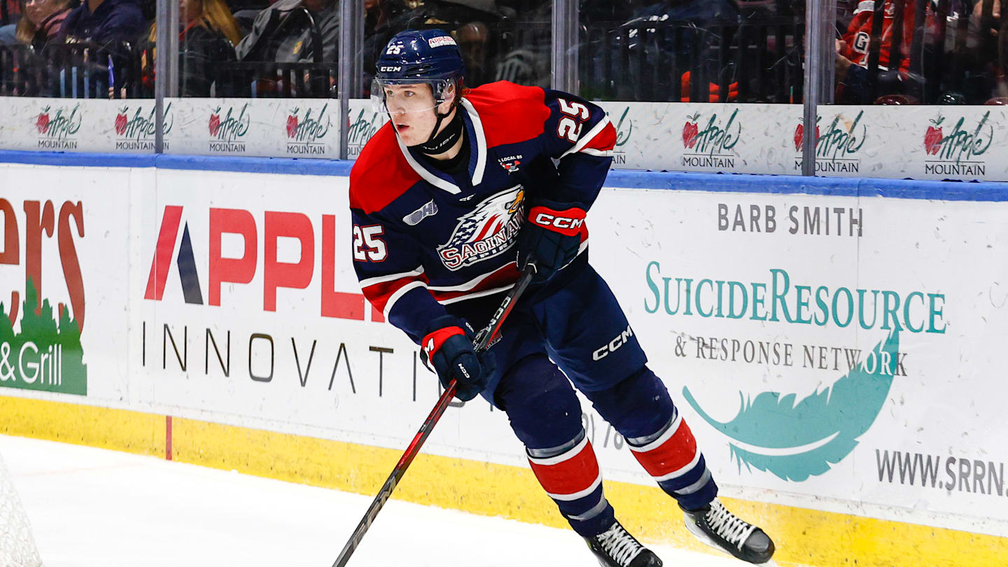 Chernyshov is on the rise for the San Jose Sharks