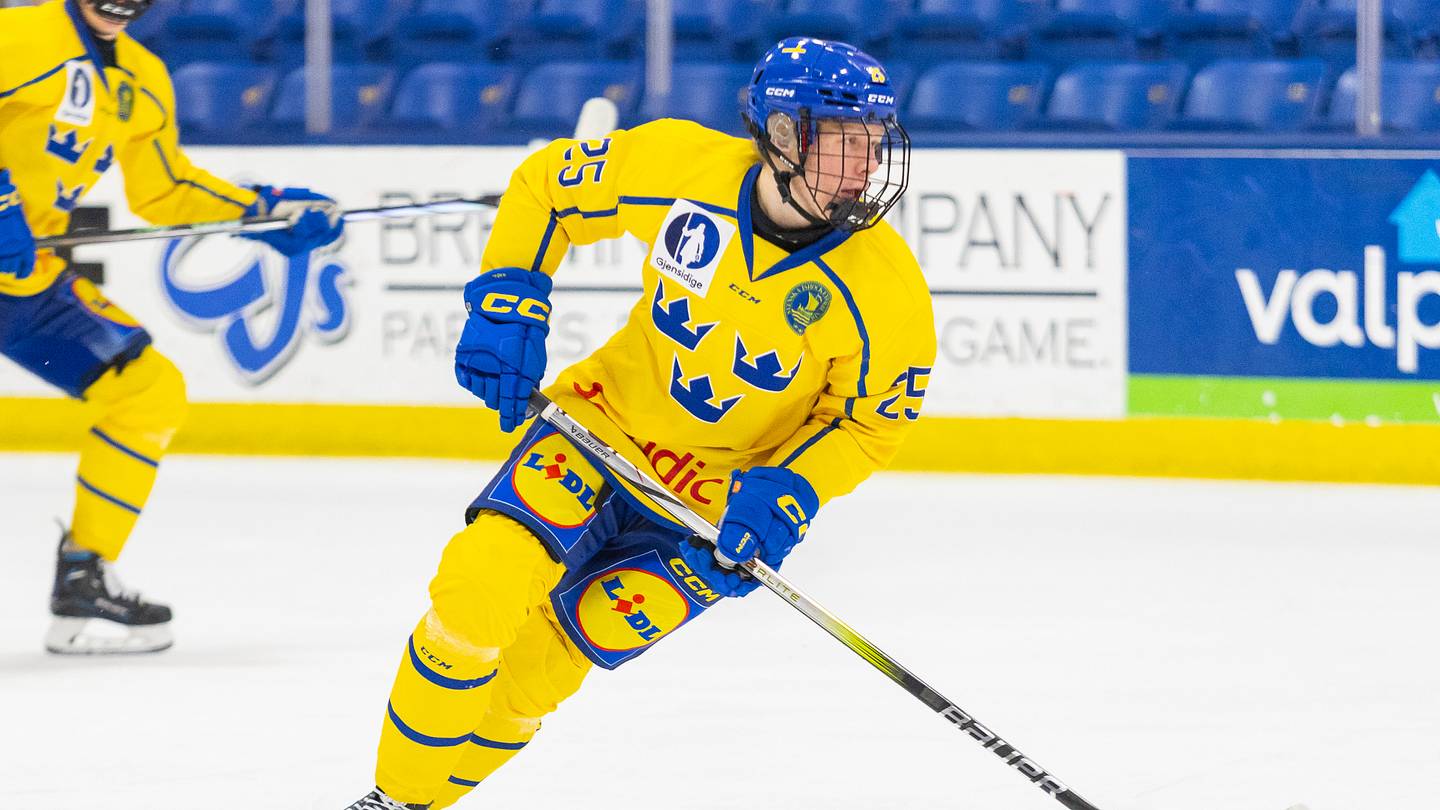 Gastrin will add two-way play to the Washington Capitals with 37th ...